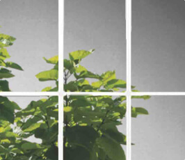 Chord Glass | MASTERCRAFT Doors